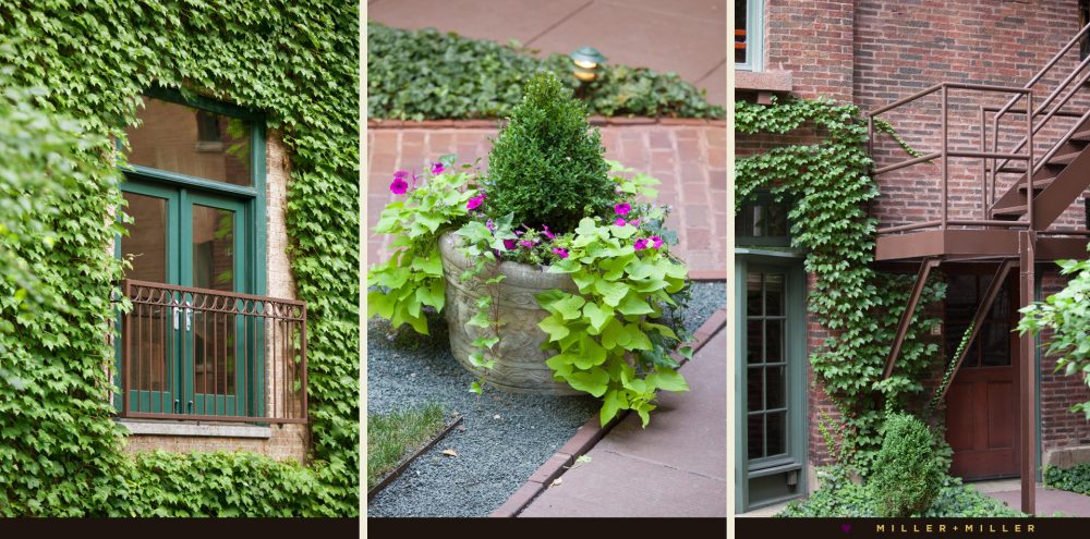 Ivy Room Chicago Wedding Venue and Photos - Chicago Wedding Photographers